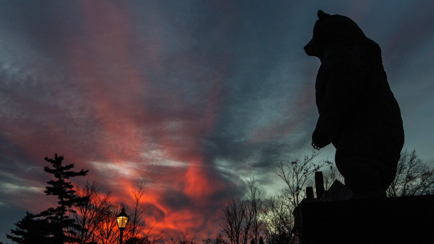 EMERGE | BioMed Postdocs and Early Career Programs | Brown University